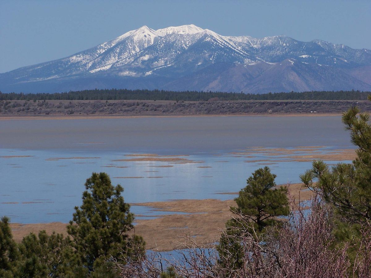 In Photos: The Eerily Beautiful Bats of Arizona | Live Science