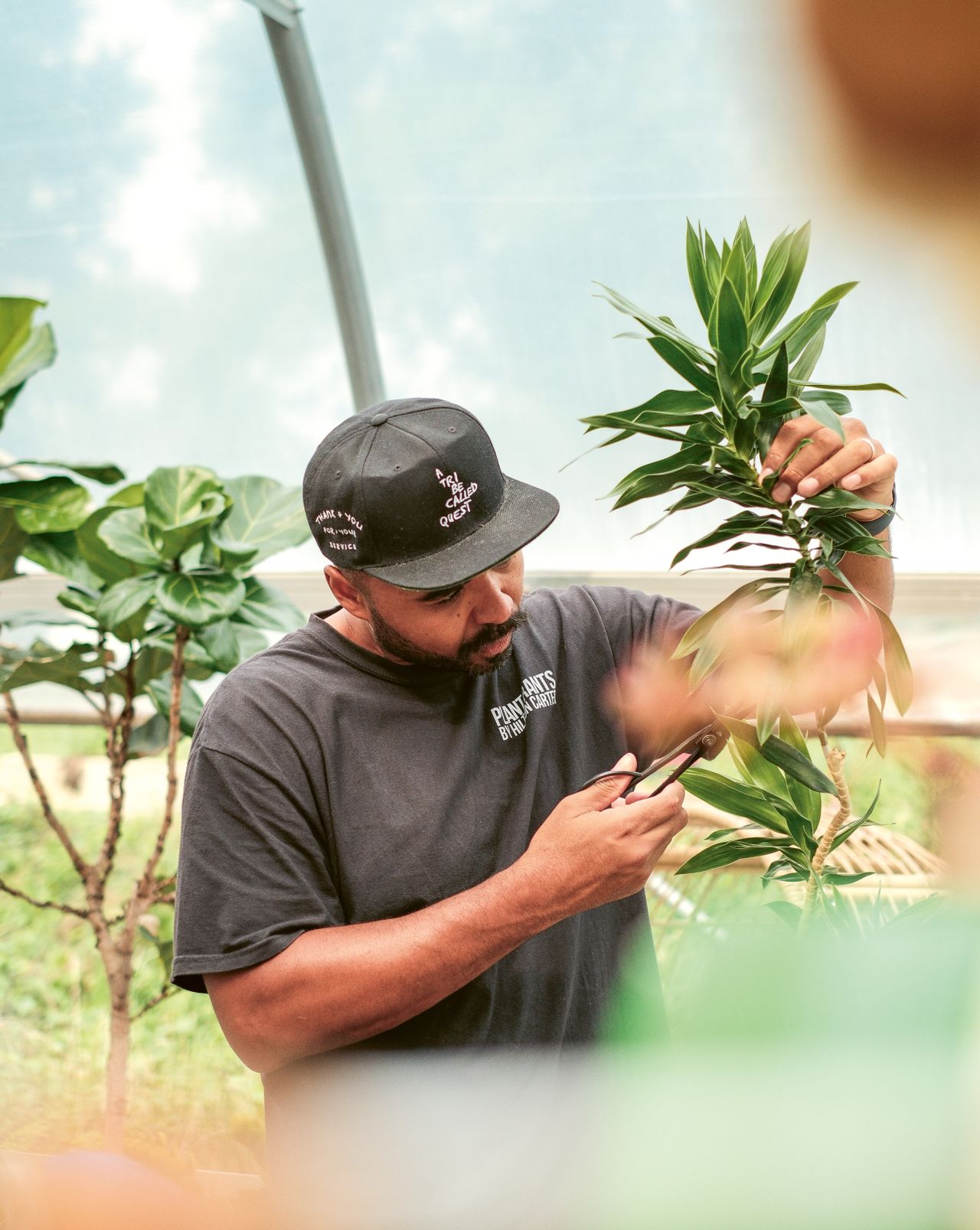 ‘Divide And Conquer’ – Hilton Carter’s 6-Step Houseplant Propagation ...