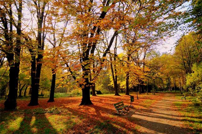 How Change of Seasons Affects Animals and Humans | Live Science