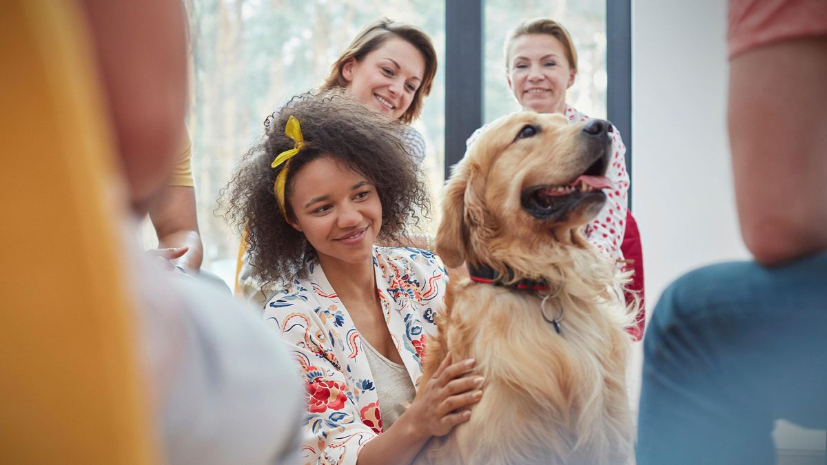 Regular access to therapy dogs improves mental health, says new study ...