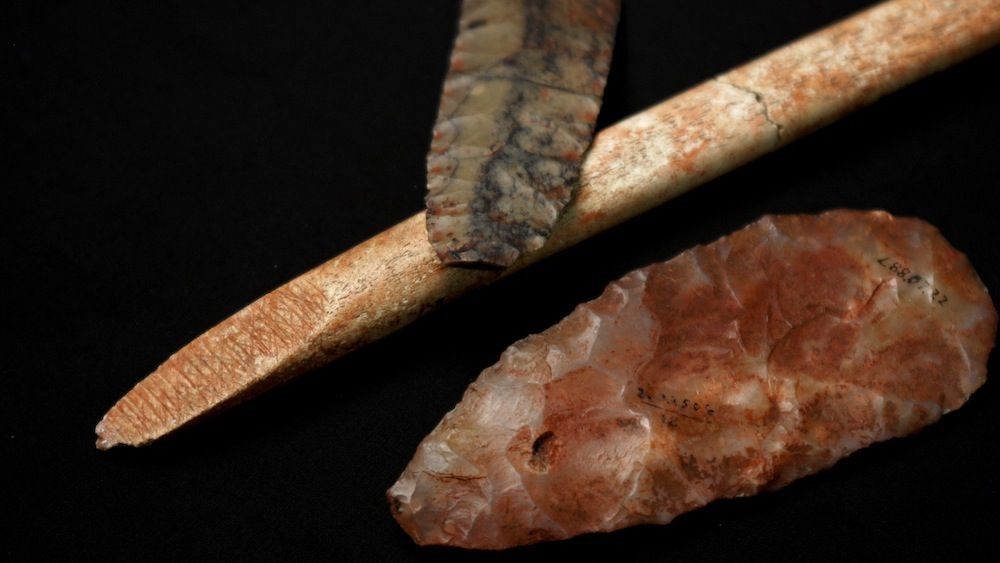 13 of the oldest archaeological sites in the Americas | Live Science