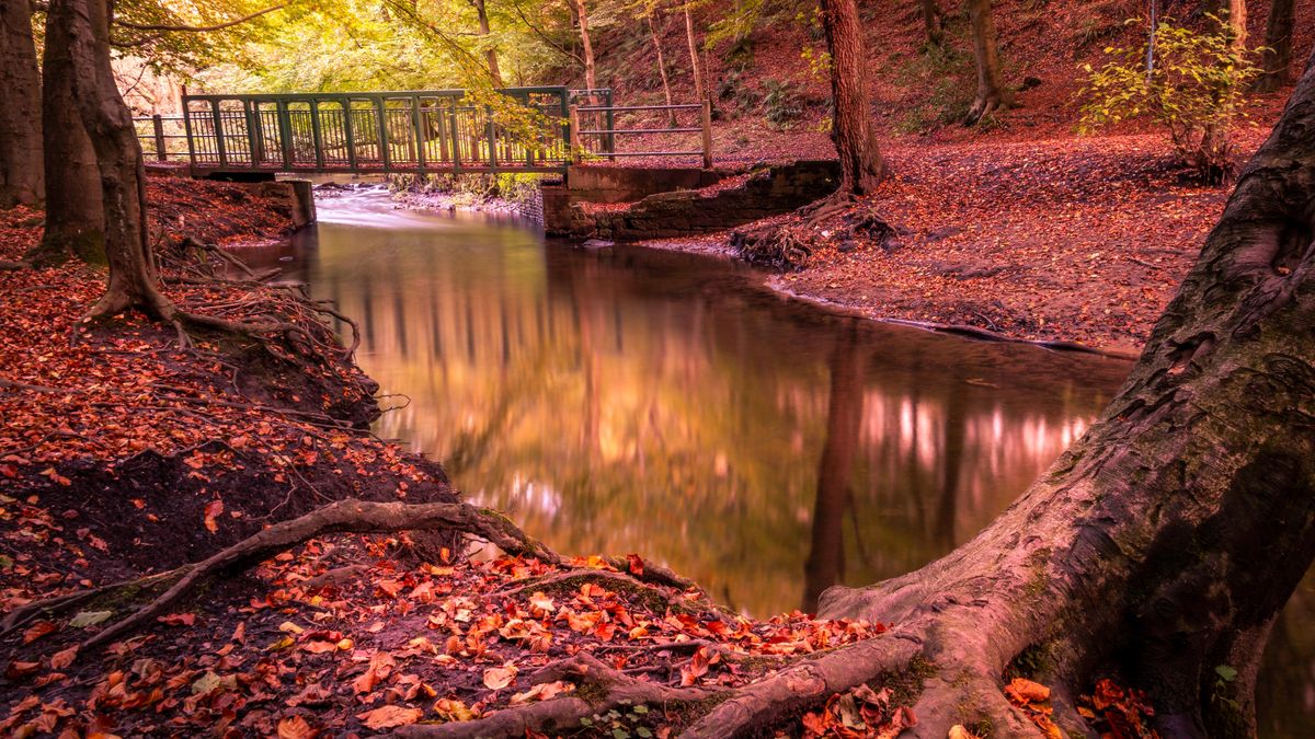 10 fall-proof steps to amazing autumn photographs | Digital Camera World