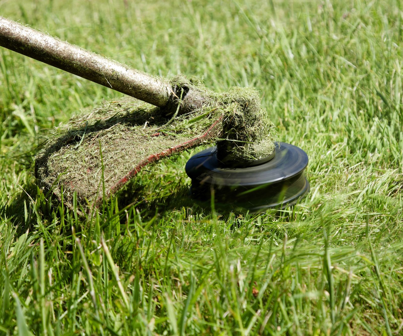 How to mow long grass: 5 steps to cutting an overgrown area | Homes and ...
