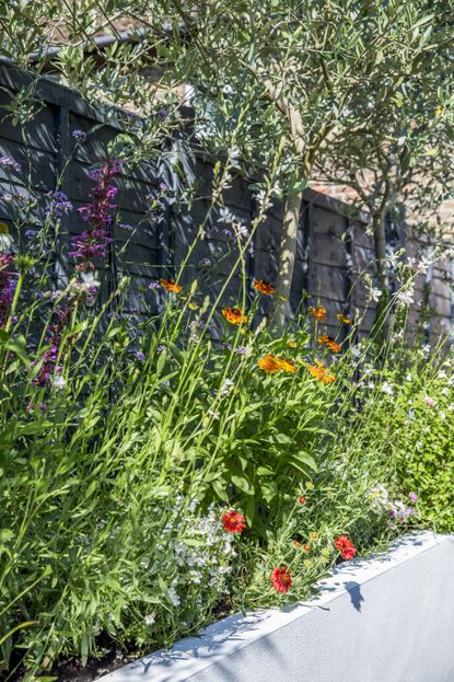 How to plan garden borders in 8 easy steps | Gardeningetc