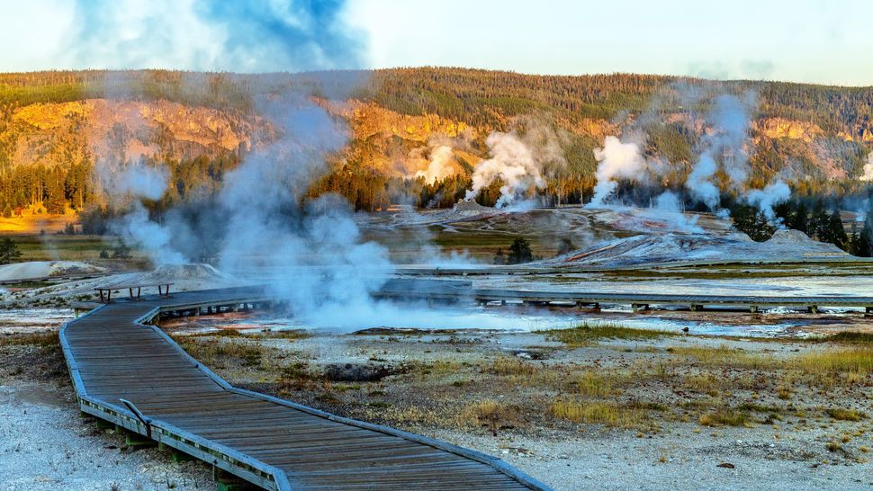 Yellowstone tourist gets instant safety lesson after wandering off ...