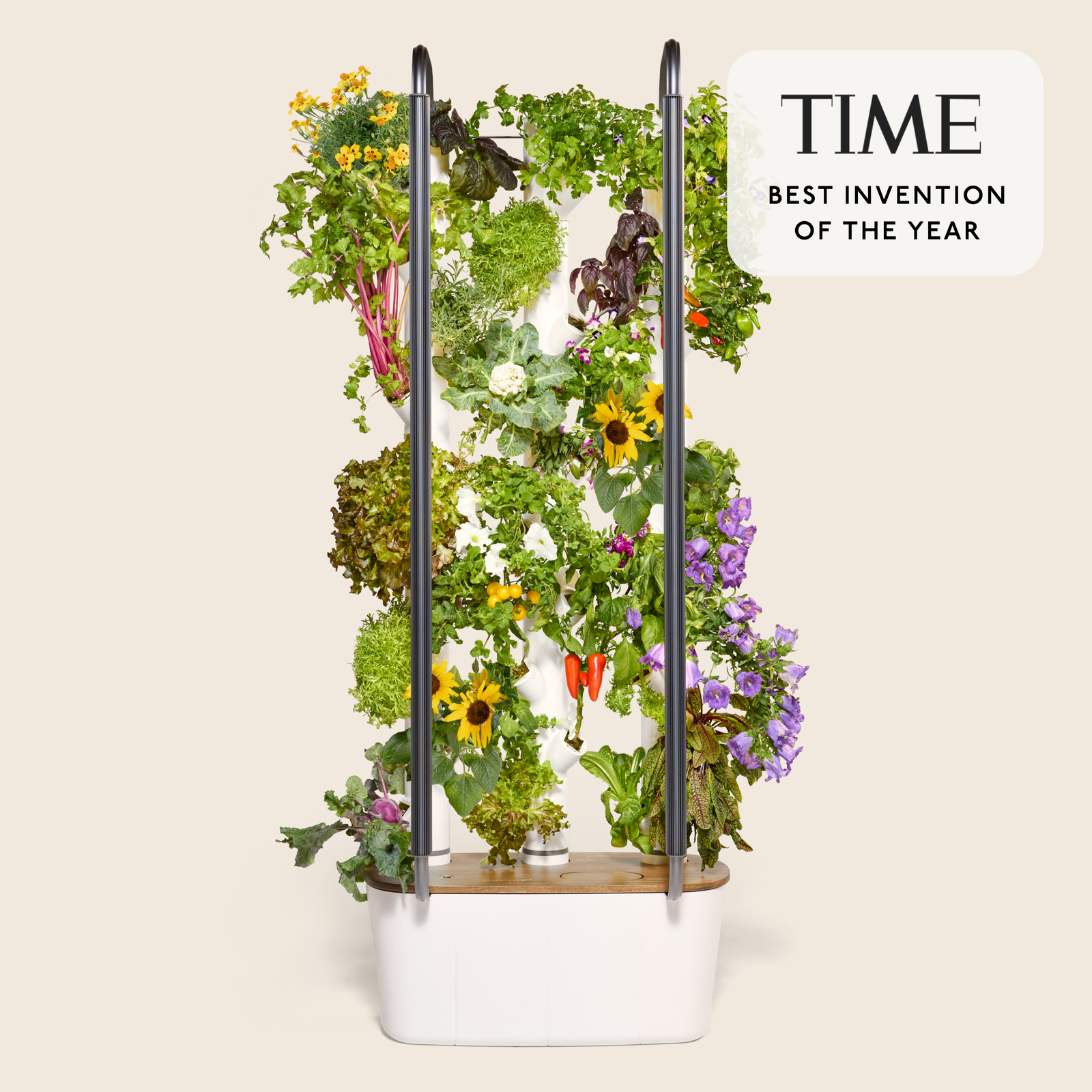 5 Indoor Plant Growing Systems to Help Your Crops Thrive | Livingetc