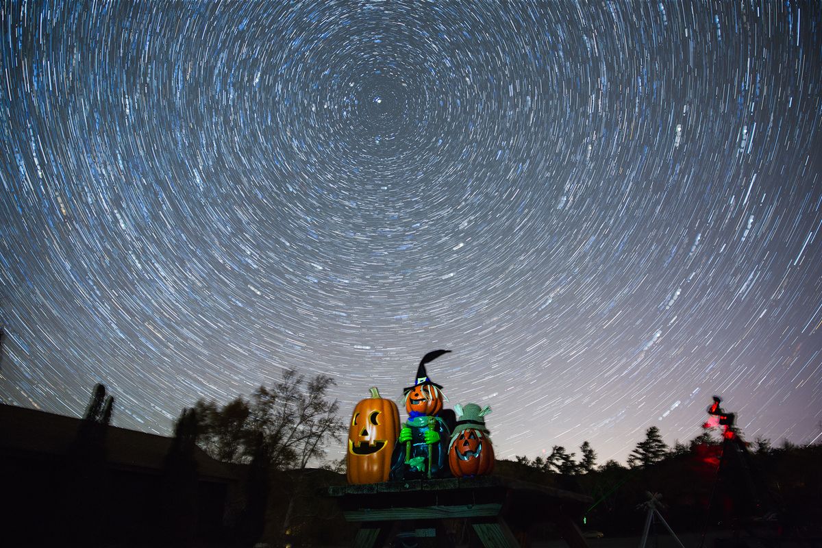 Celestial Treats Shine Over Jack-o'-Lanterns in Stellar Halloween ...
