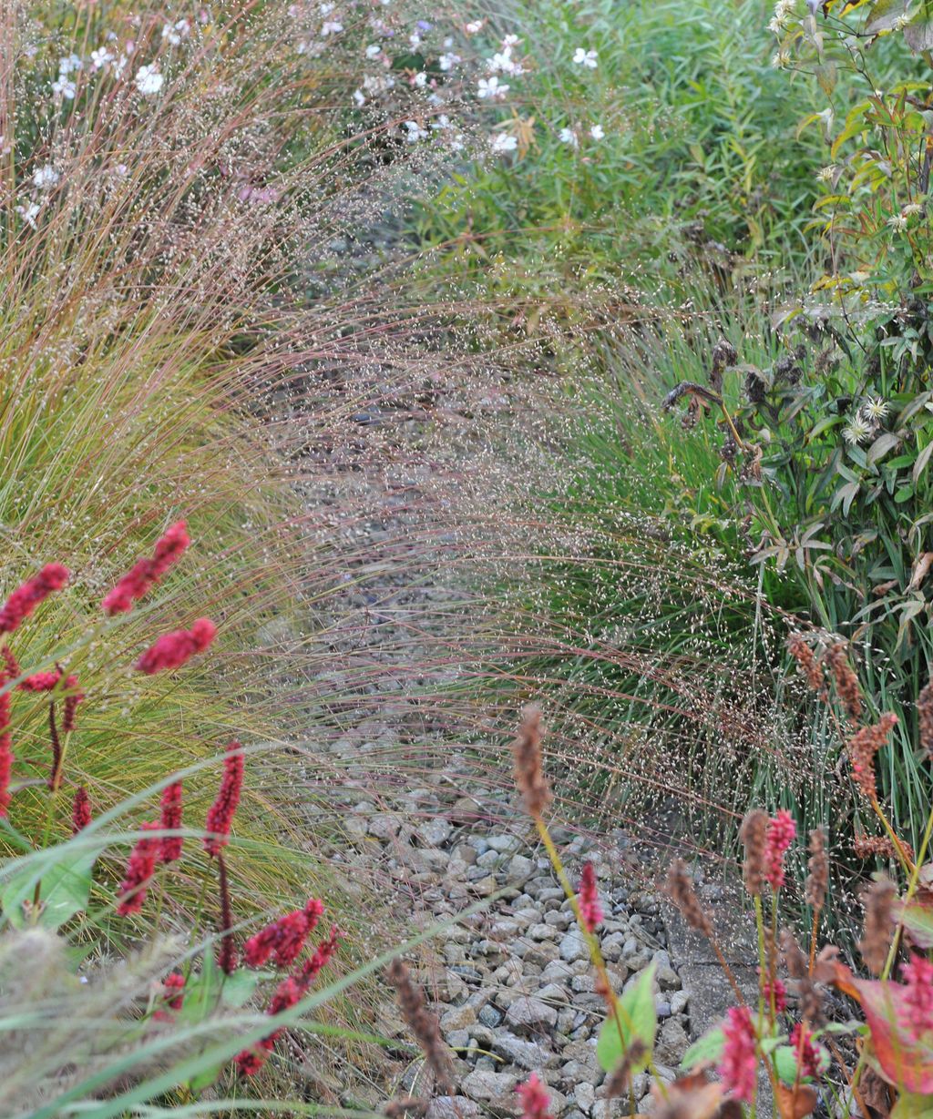 What is prairie planting? | Homes and Gardens