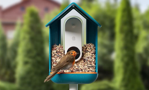 Bird Buddy’s new Smart Hummingbird Feeder lets you watch even more of ...