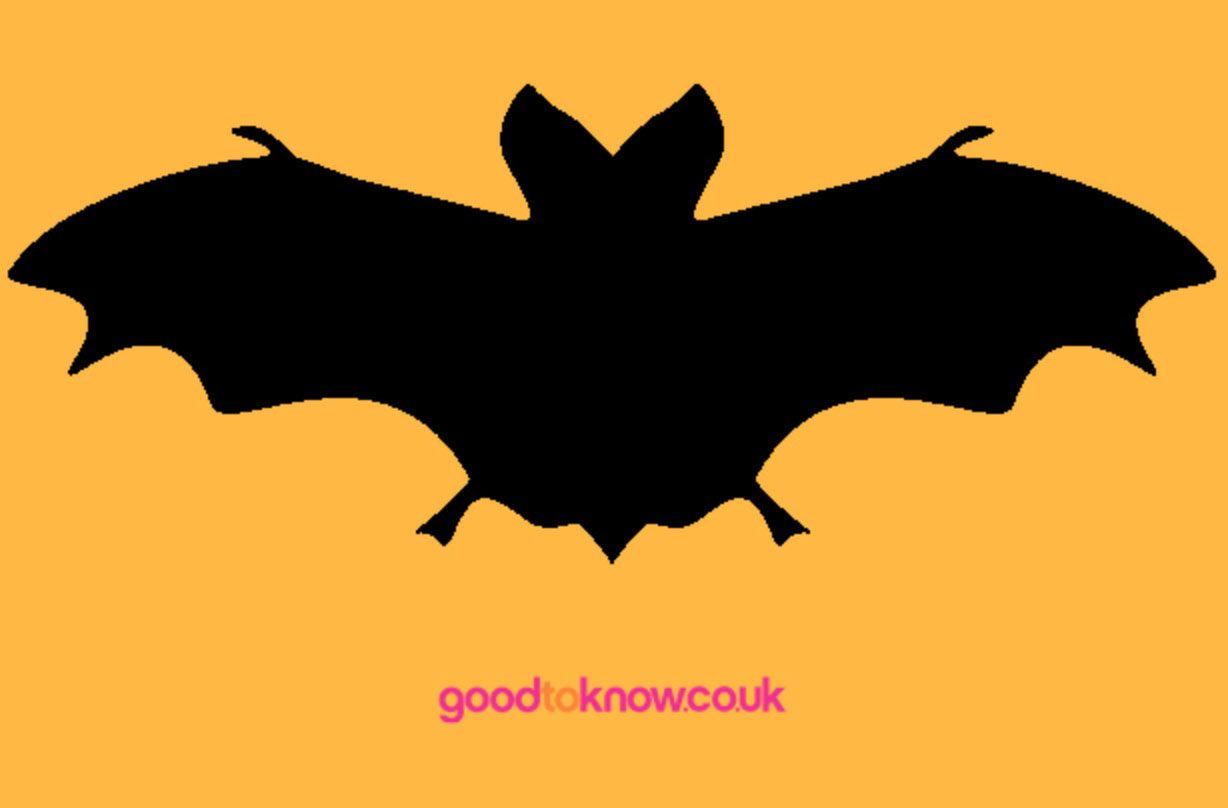 Free pumpkin carving patterns | GoodtoKnow