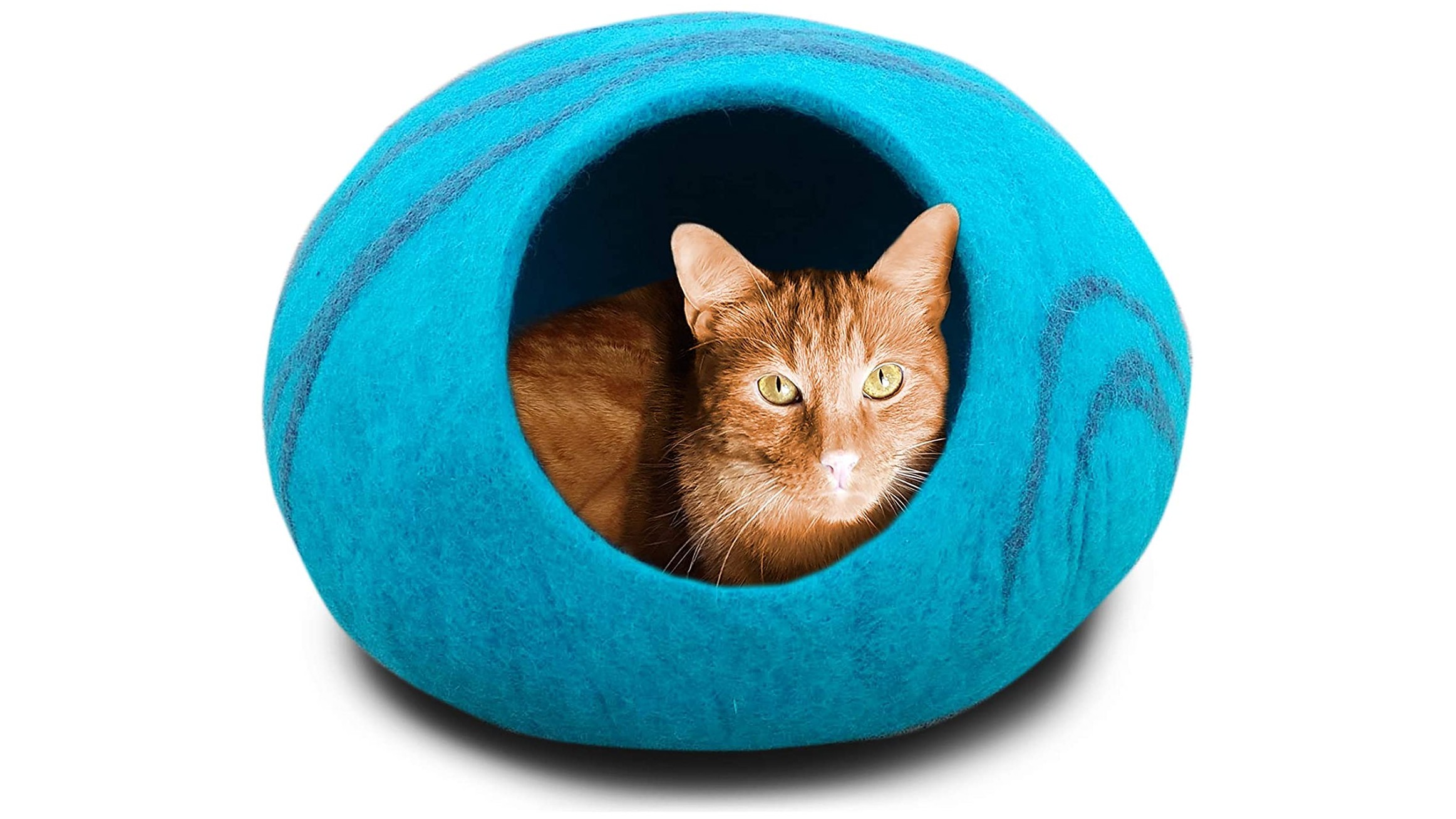 Best cat beds 2024 for your sleepy kitty | PetsRadar
