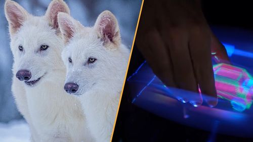 Science news this week | Live Science