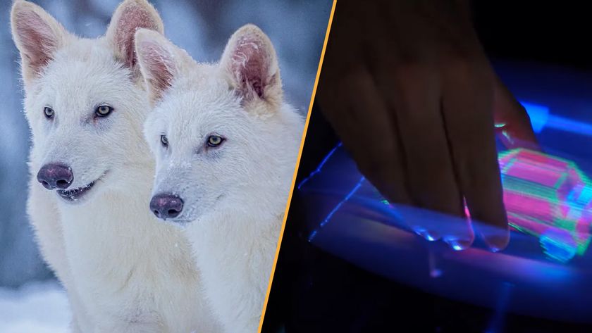 Science news this week | Live Science