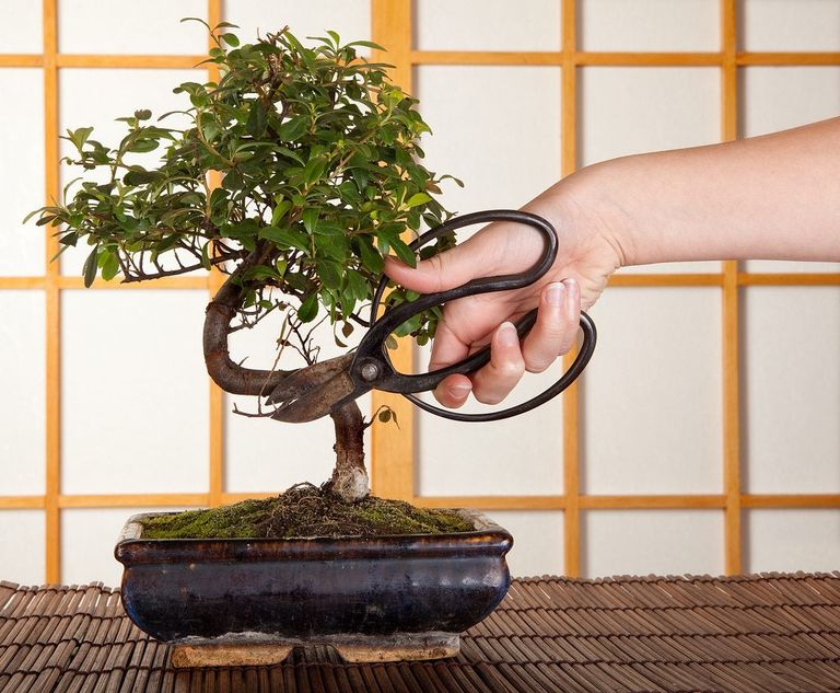 What Are Japanese Gardening Tools - Learn About Traditional Japanese ...