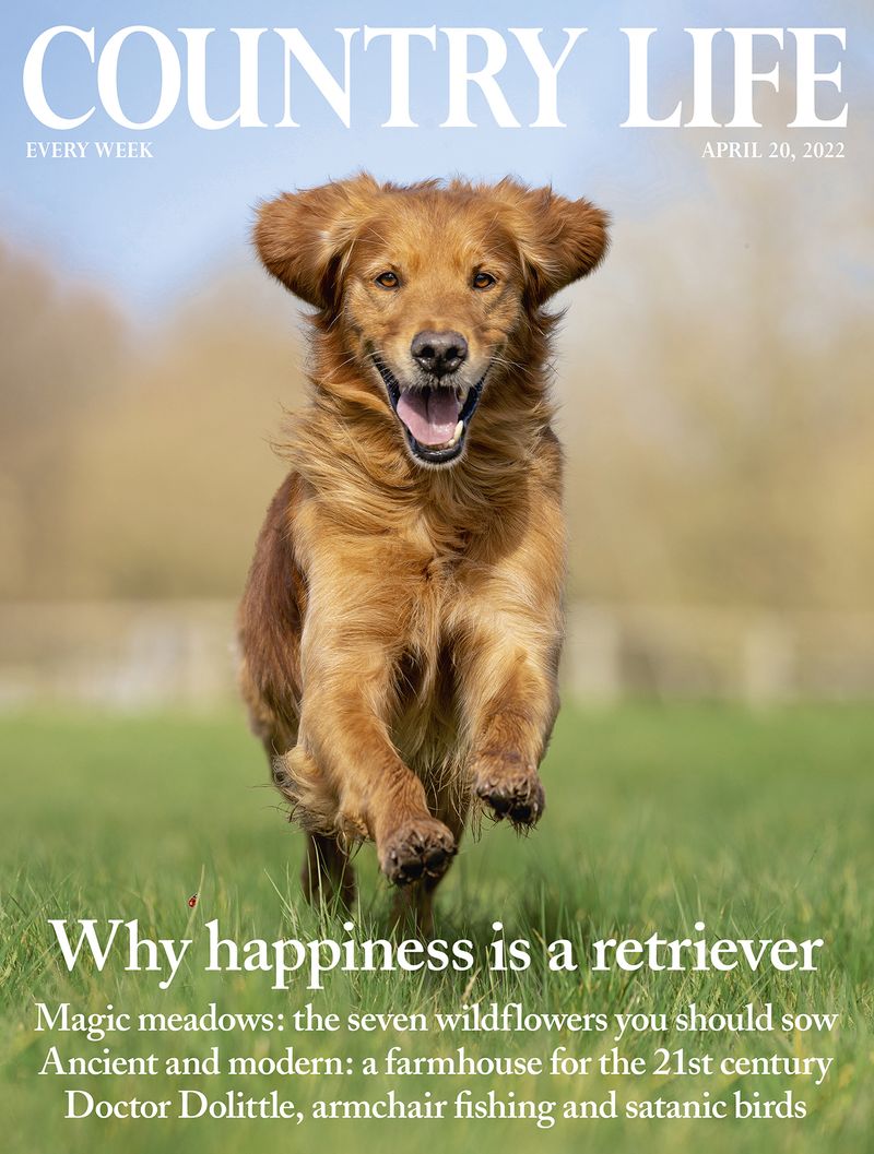 Country Life Magazine Issues - Page 9 | Country Life