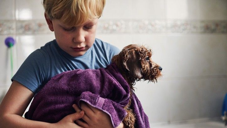 How often should you bathe a puppy? A guide to washing your dog for the ...