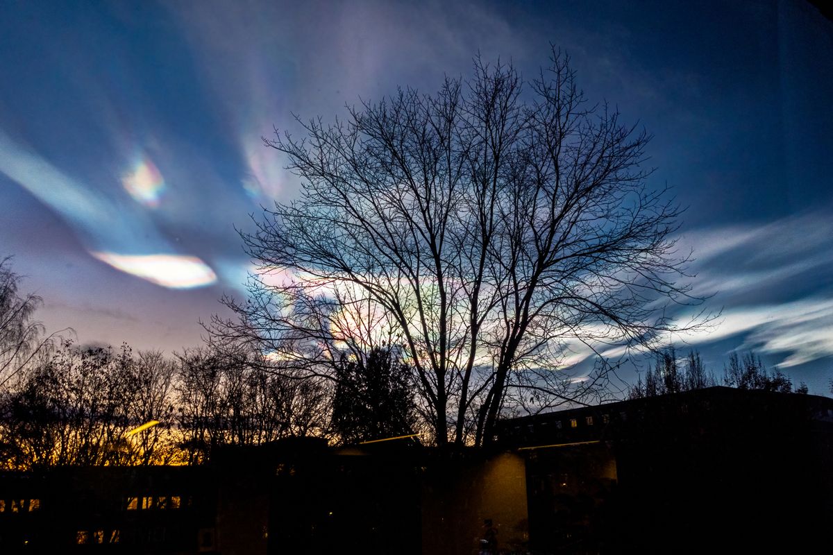 Spectacular 'rainbow clouds' light up northern skies in a rare ...