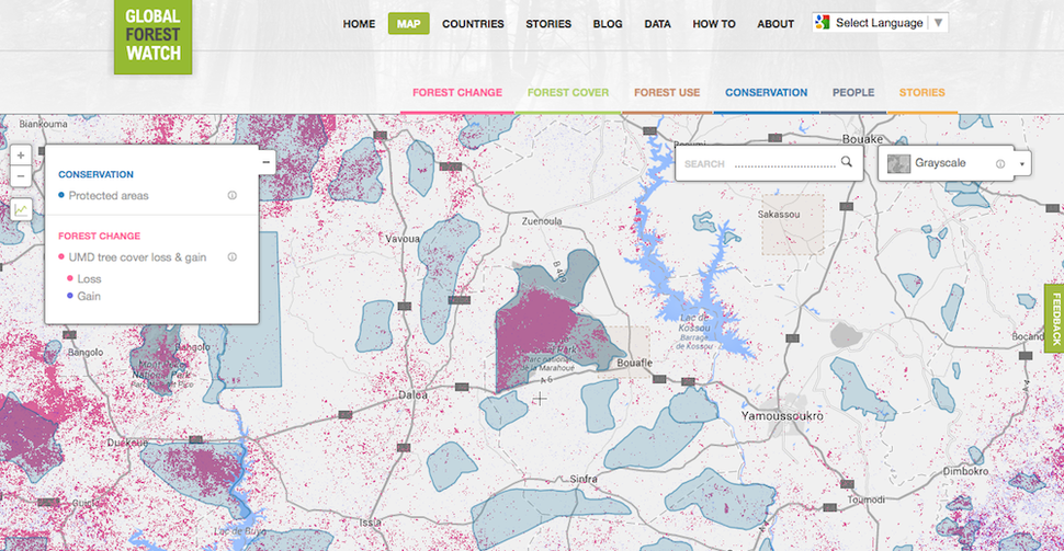 New Website Tracks Deforestation in Near Real-Time | Live Science