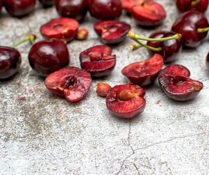 How to grow a cherry tree from seed: expert tips | Homes and Gardens