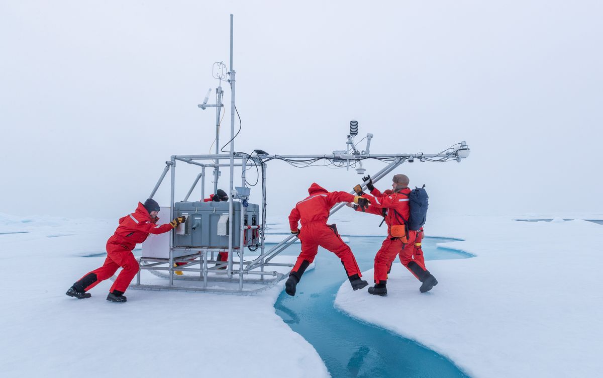 Pangolins, satellites and "aliens" highlight Woman Science Photographer ...
