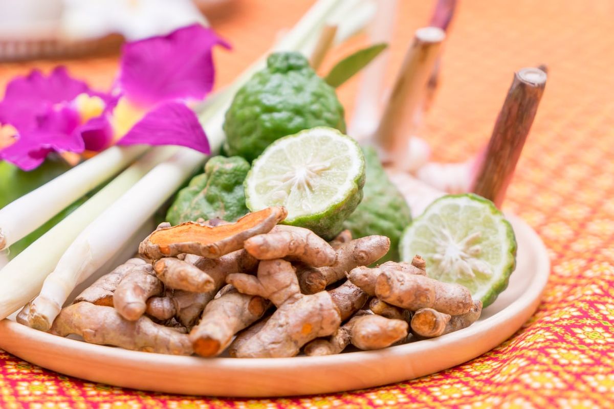 Thai Herb Plants And Spices - Learn About Herbs For Thai-Inspired ...