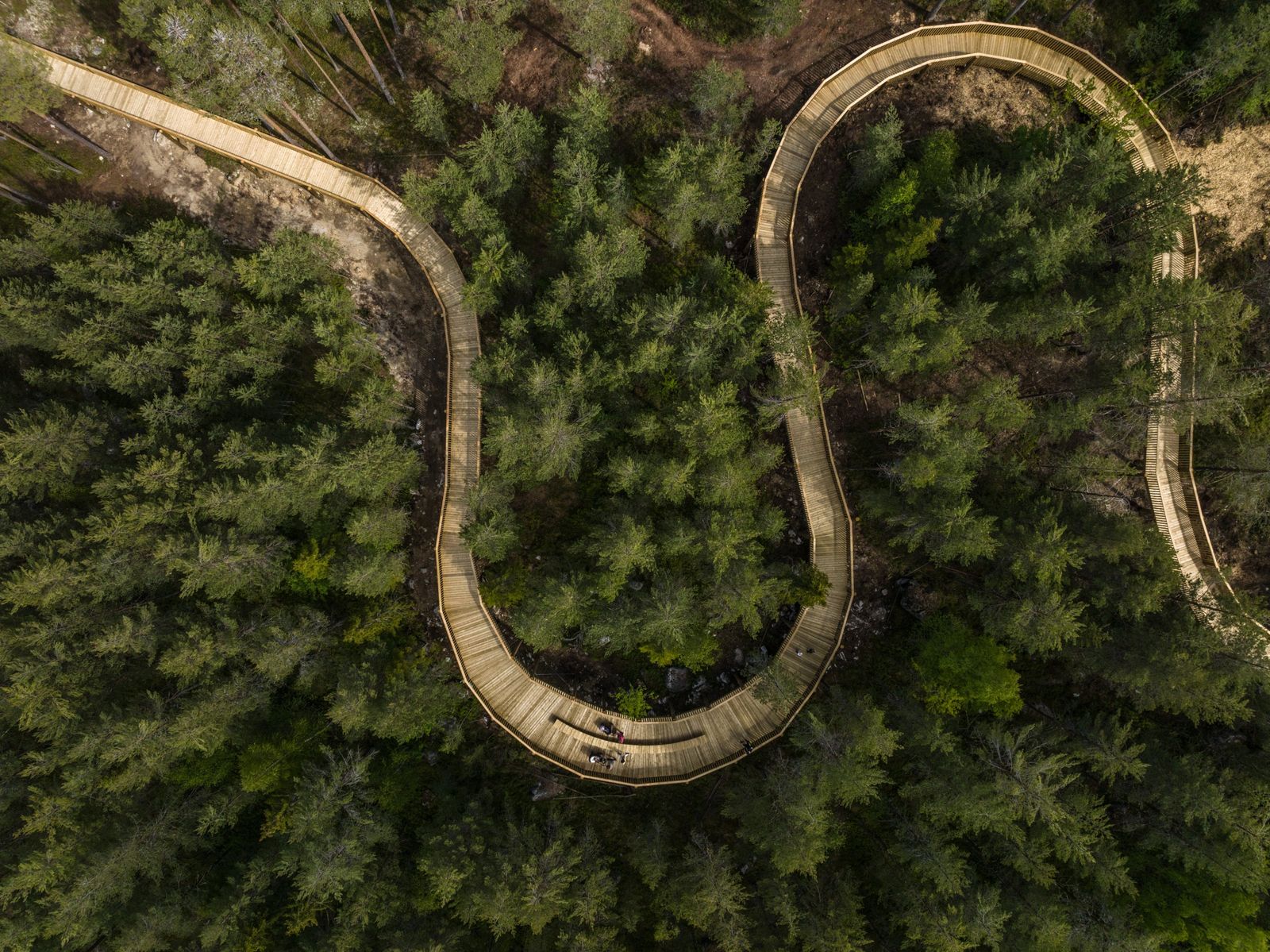 Walking through the elevated walkway in Norway | Wallpaper*