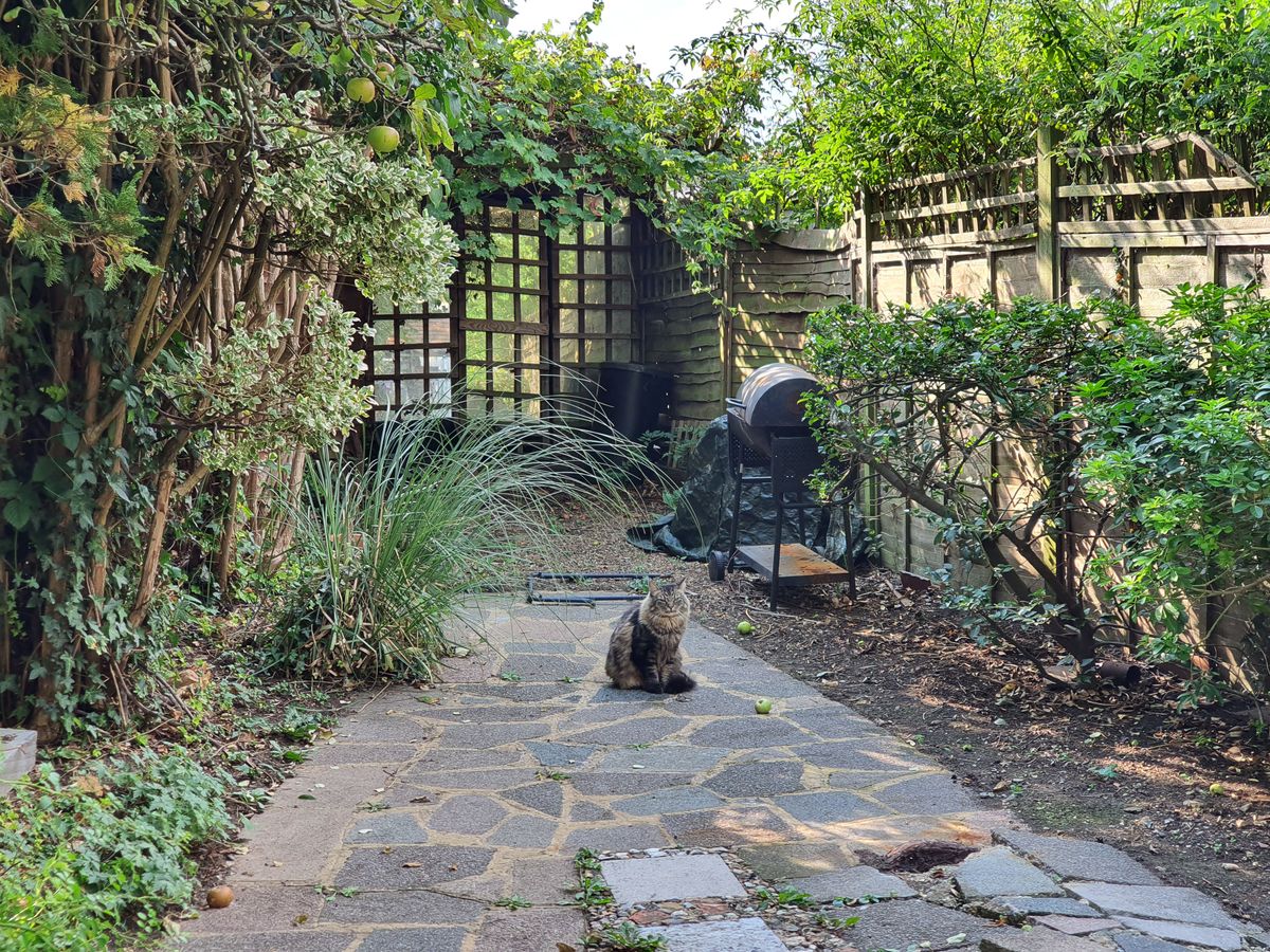 Samsung Galaxy Note 10 Plus review | Digital Camera World