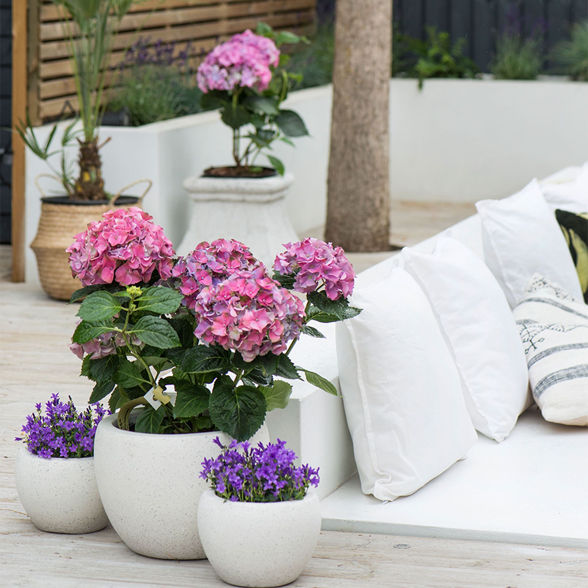 From scruffy concrete slabs to stunning sunken garden | Ideal Home