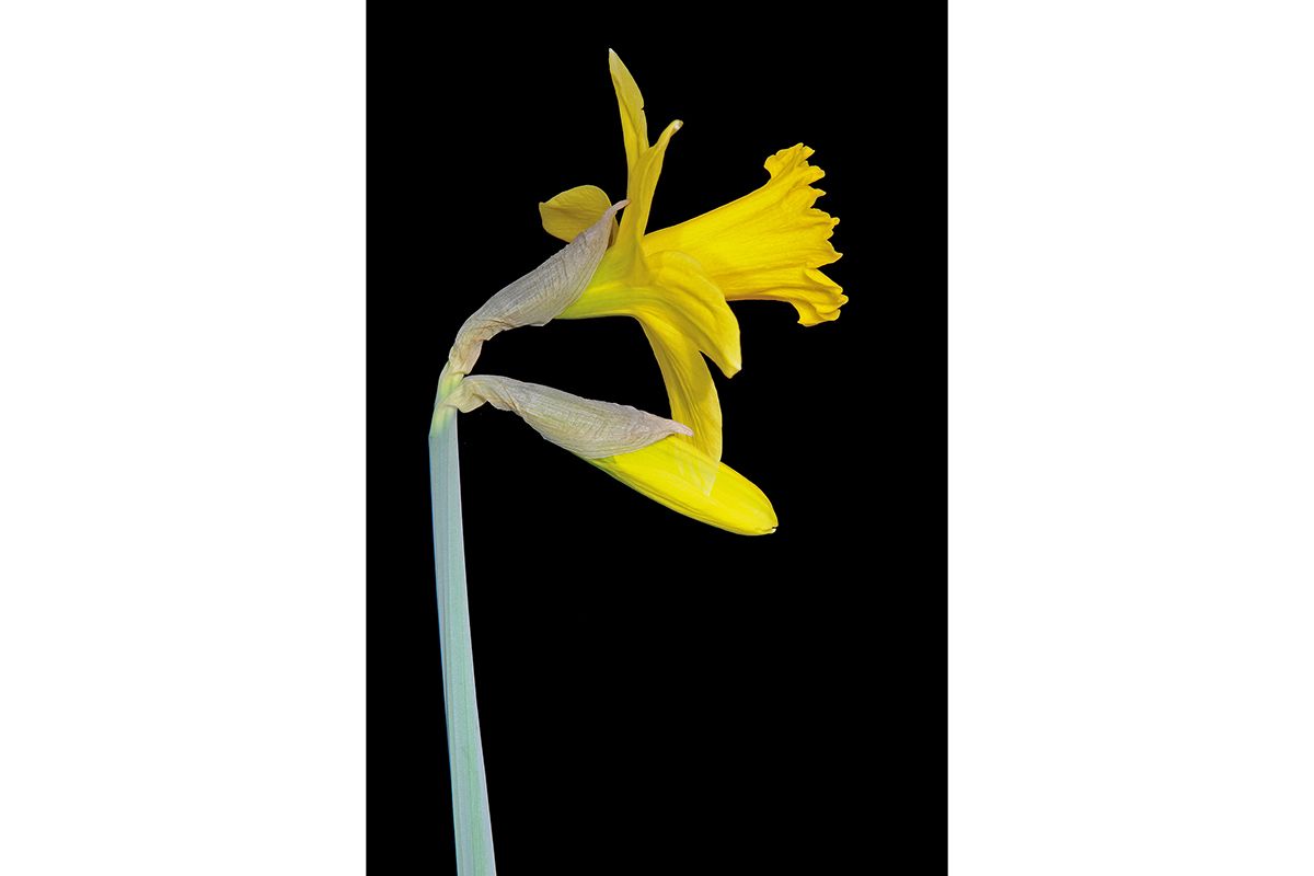 How to shoot a single-frame time-lapse | Digital Camera World