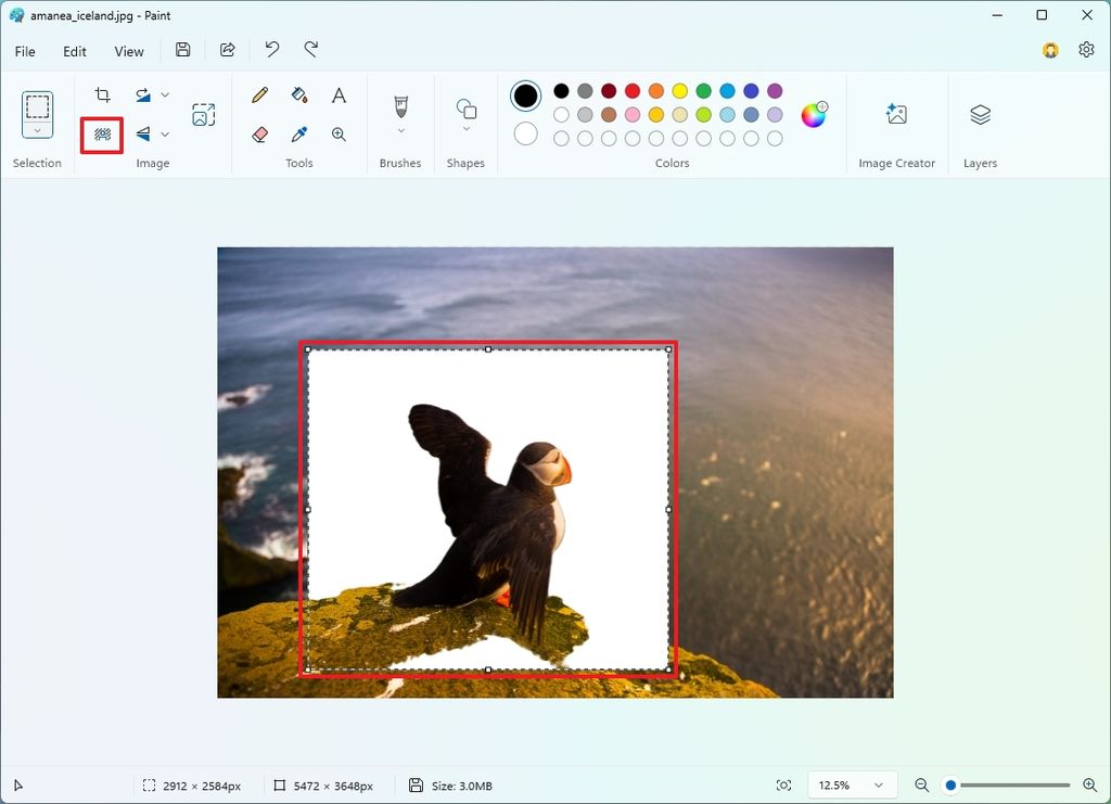 How to use the Microsoft Paint app to perform advanced image editing ...
