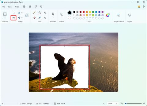 How to use the Microsoft Paint app to perform advanced image editing ...