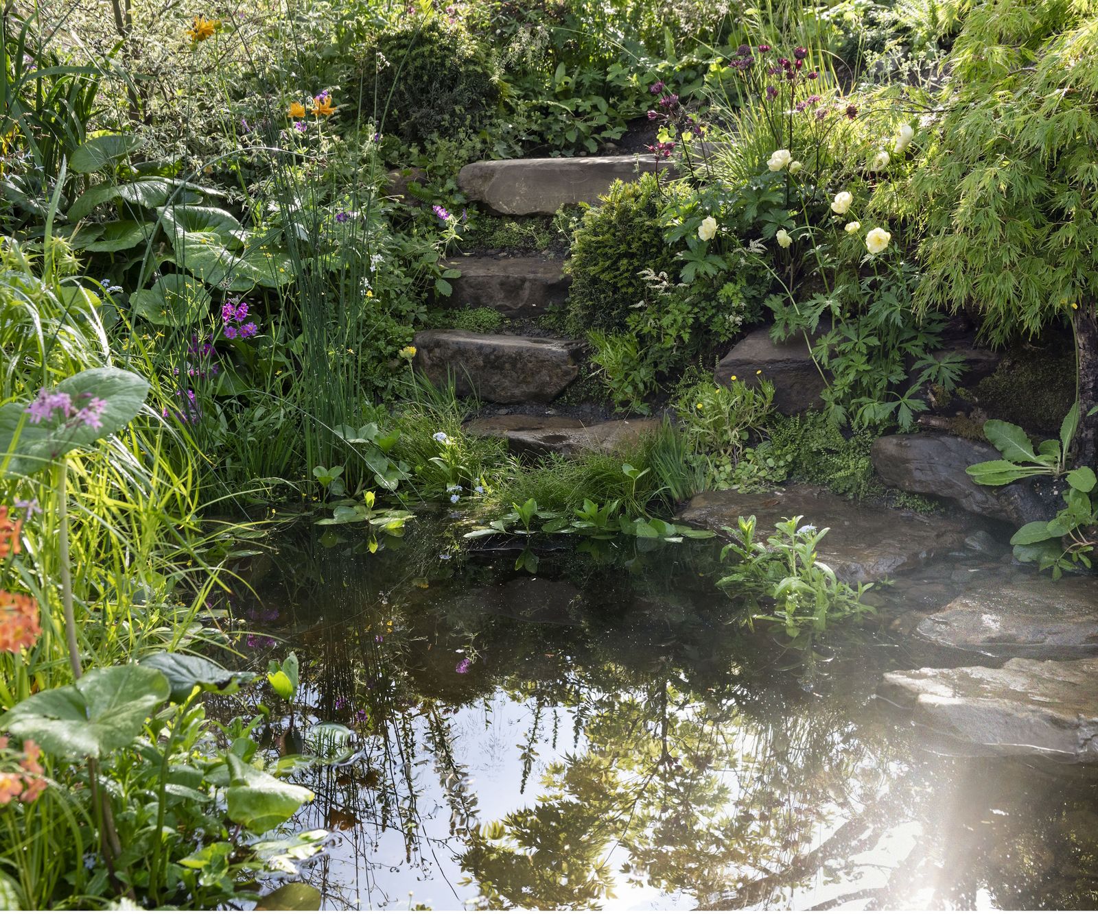 How to make your yard flood-resilient: 5 solutions | Homes and Gardens