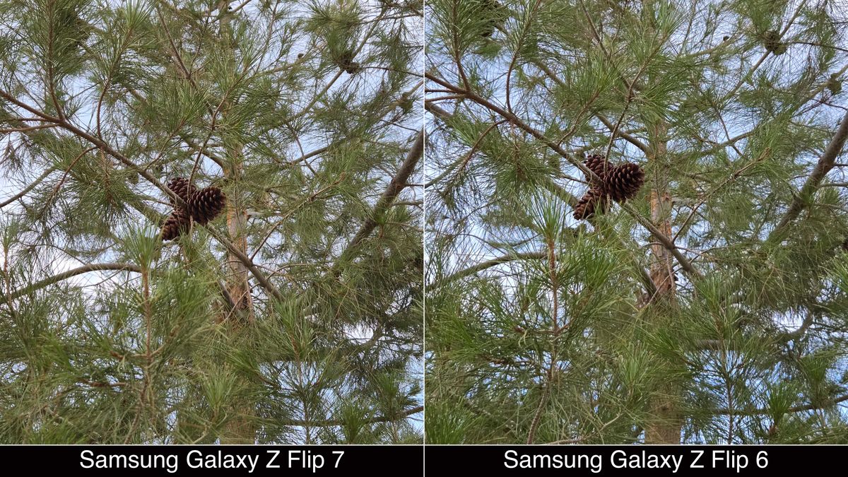 I put the Samsung Galaxy Z Flip 7 camera up against the Galaxy Flip 6 ...