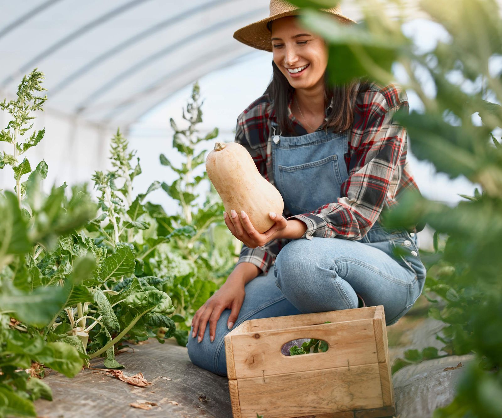 How to grow butternut squash - expert tips for great crops | Homes and ...