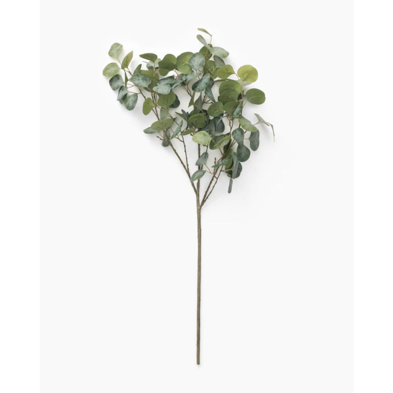 How to style unpainted kitchen cabinets for a pared-back look | Homes ...