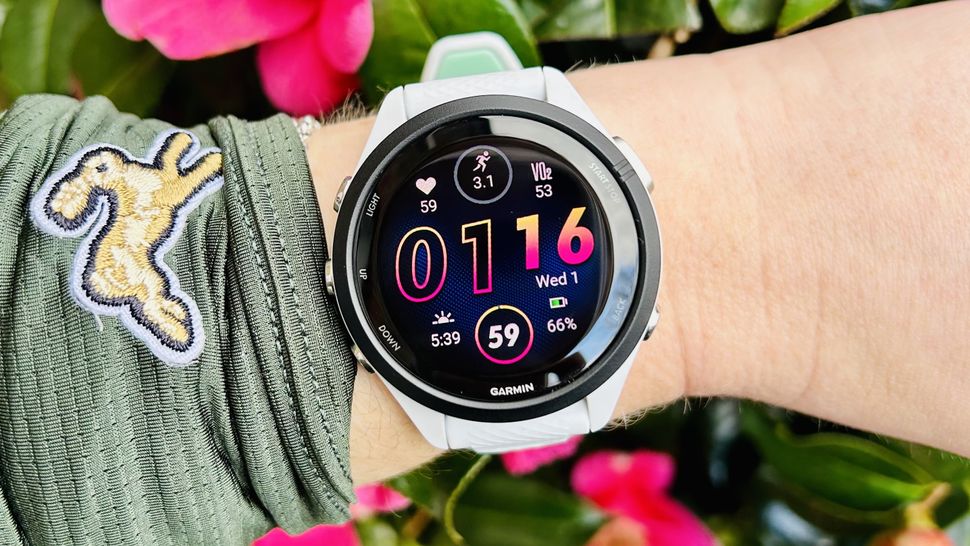Garmin just rolled out a big update to its most popular watches — here ...