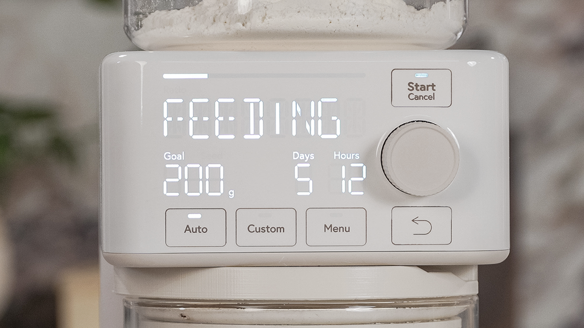 Feeding your sourdough starter just got a lot easier with this new ...