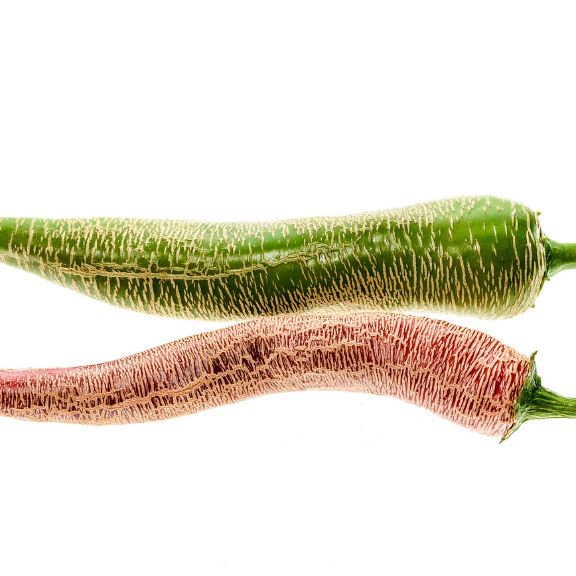 Tips & Information about Peppers - Page 3 | Gardening Know How