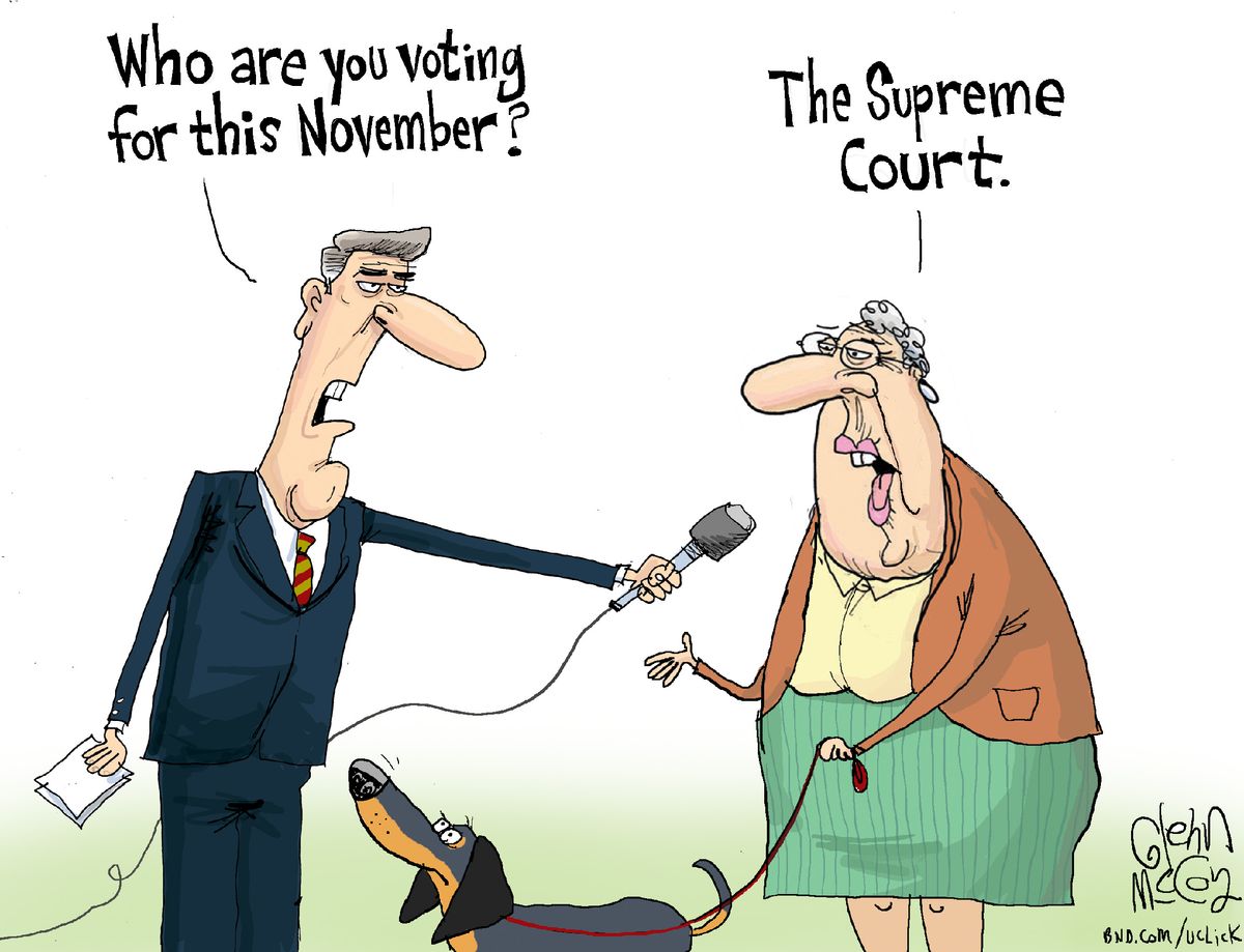 Political cartoon U.S. Voter for the supreme court election 2016 | The Week