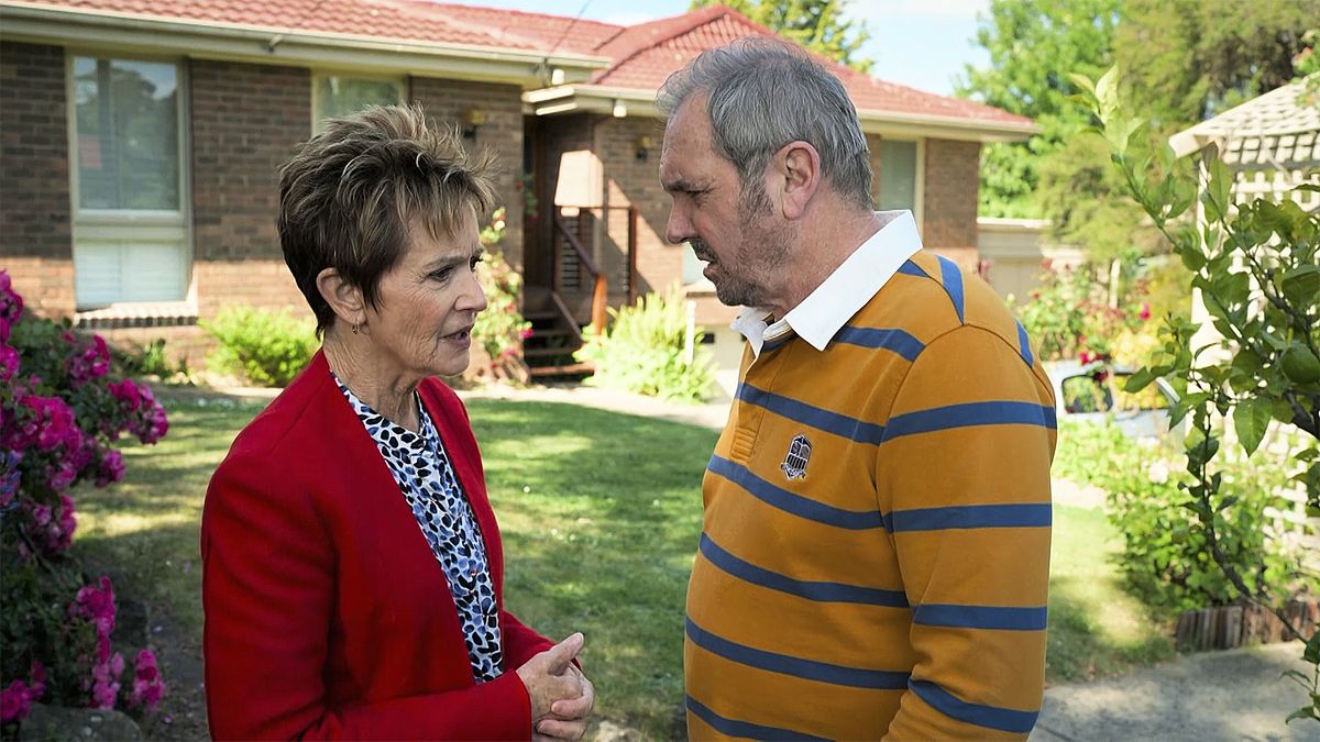 Neighbours spoilers: Will Haz survive the car collision? | What to Watch