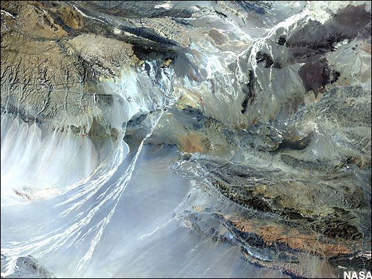 Image Gallery: Dinosaur Fossils | Live Science