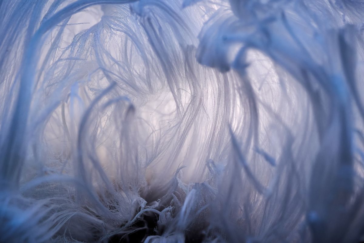 Spring into nature with the stunning winners of the Nature Photography ...