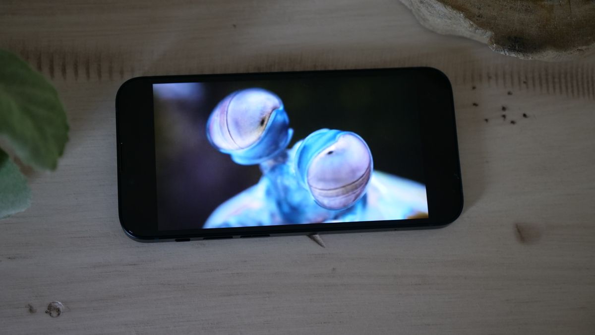 iPhone 13 mini review: The last best small phone | Laptop Mag