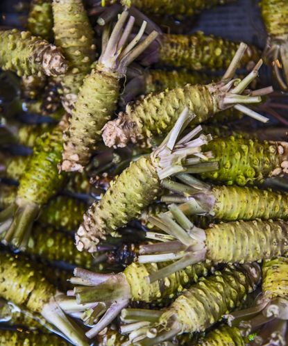 How to harvest wasabi - expert tips to pick correctly | Homes and Gardens
