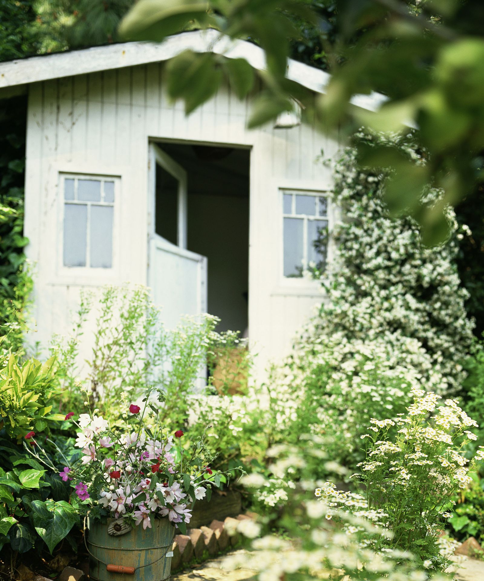 Best plants to cover a shed: 10 inspirational ideas | Homes and Gardens