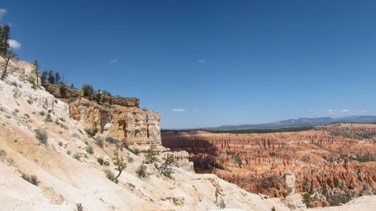 Free photo reference pack to download today | Creative Bloq