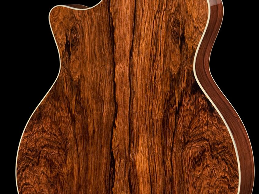 Taylor debuts Spring Limited Editions | MusicRadar