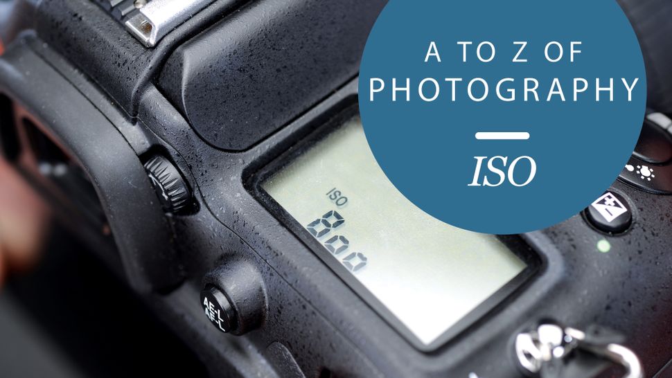 The A to Z of Photography: ISO | TechRadar