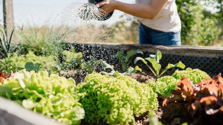 How to pick the best fertilizer for grass in spring | Homes and Gardens