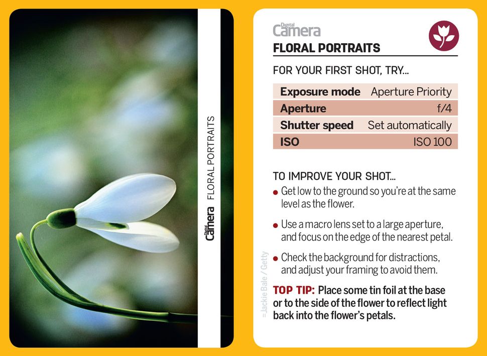 72 tips cards for photographers! Print, cut out and keep or save them ...